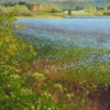 Paintings by David Nance Artist North Carolina
